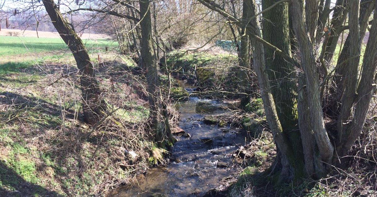 Wiehoff zu neuem Leben erwecken | Stadtverwaltung Niedenstein